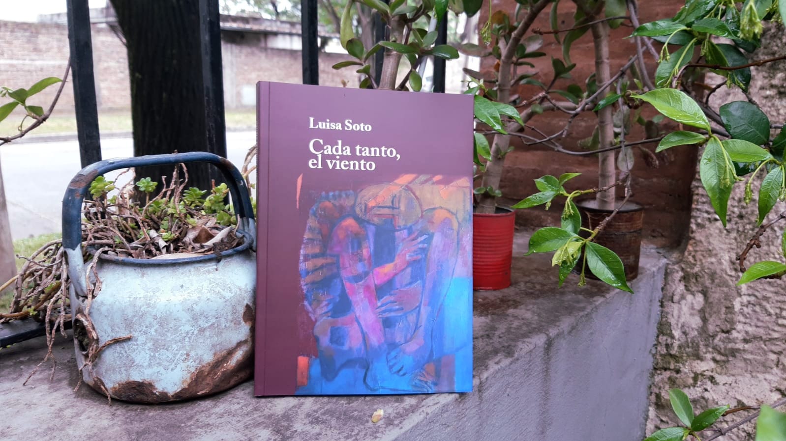 Cada tanto, el viento, de Luisa Soto: un libro infinito - Periódico EL ...